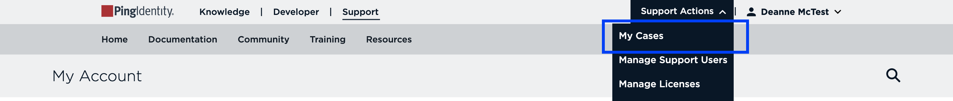 Support Portal - Case Management