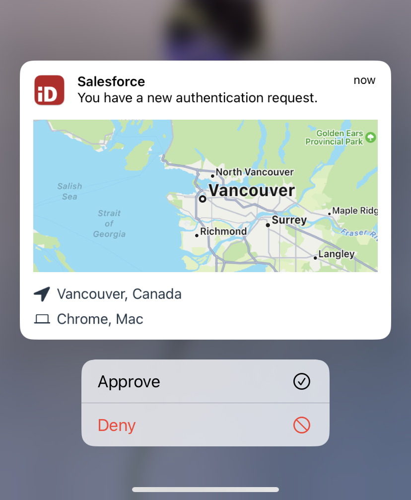 Ping Identity Support