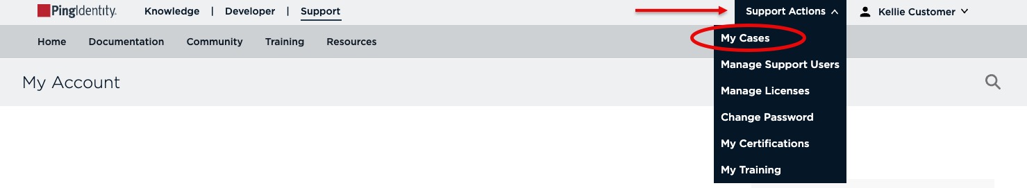 Support Portal - Case Management